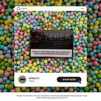 Jual Terea Iqos Juni 2024 Harga Termurah - Cicil 0% 3x di Tokopedia