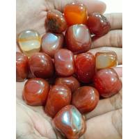 Jual Batu Gravel Terlengkap & Terbaik - Harga Murah Maret 2025