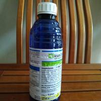 Jual Icon 25 Ec Terbaik - Harga Murah Februari 2024 & Cicil 0%