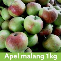 Jual Apel Malang Terdekat - Harga Murah & Grosir Juni 2024