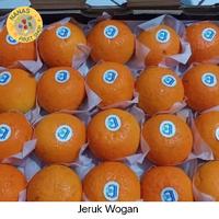 Jual Jeruk Wokam Terdekat - Harga Murah & Grosir Juni 2024