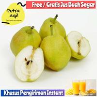 Jual Pear Xiang Lie Murah - Harga Terbaru 2024