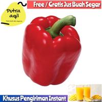 Paprika Harga Termurah & Grosir Juni 2024 - Tokopedia