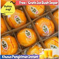 Jual Jeruk Ponkam Terdekat - Harga Murah & Grosir April 2024