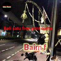 Aneka Janur Pernikahan Unik dan Murah Juni 2024