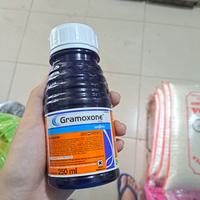 Jual Gramaxone Murah - Harga Terbaru Agustus 2025