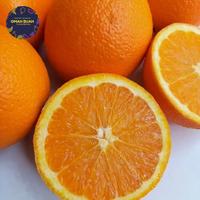 Jual Jeruk Sunkist Terdekat - Harga Murah & Grosir April 2024