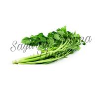 Jual Daun Sop Terdekat - Harga Murah & Grosir Juni 2024