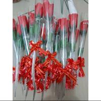 Jual Bunga 1 Tangkai Terlengkap - Harga Murah & Grosir Mei 2024