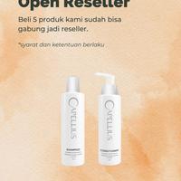 Jual Miss Daisy Shampoo Anti Ketombe Mei 2024 Harga Termurah - Cicil 0% ...