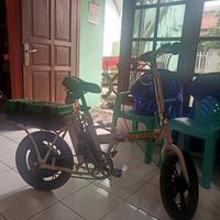 Jual Sepeda Listrik Bekas Murah & Terbaik - Harga Terbaru Januari 2024