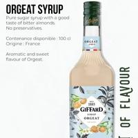 Jual Giffard Syrup Terdekat - Harga Murah & Grosir Juni 2024