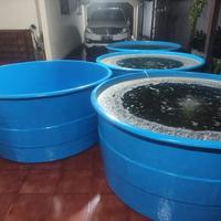 Jual Kolam Ikan Fiber Terlengkap & Terbaik - Harga Murah Juni 2024