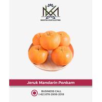 Jual Jeruk Ponkam Terdekat - Harga Murah & Grosir Mei 2024