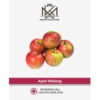 Jual Apel Malang Terdekat - Harga Murah & Grosir Juni 2024