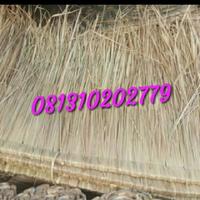 Jual Atap Jerami Terbaik - Harga Murah Juni 2024 & Cicil 0%