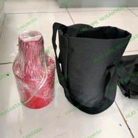Jual Test Dcp Terlengkap - Daftar Harga April 2025 & Cicilan 0%