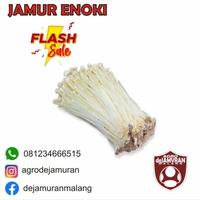Jual Jamur Enoki Terdekat - Harga Murah & Grosir Juni 2024