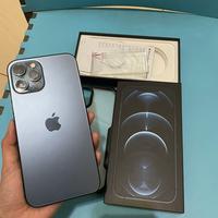Harga iPhone 12 Pro Max Terbaru & Resmi Juni 2024