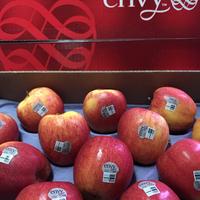 Jual Apel Envy Terdekat - Harga Murah & Grosir April 2024