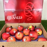 Jual Apel Envy Terdekat - Harga Murah & Grosir Mei 2024