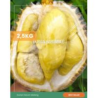 Jual Durian Montong Utuh Murah - Harga Terbaru 2024