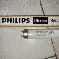 Jual Lampu Tl 36 Watt Philips Terbaik - Harga Murah Februari 2025 ...