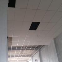 Jual Gyptile Murah - Harga Terbaru Mei 2024