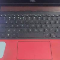 Jual Dell Pandora 7447 Murah & Terbaik - Harga Terbaru Juni 2024