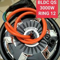 Jual Bldc 3000w Murah - Harga Terbaru 2024
