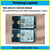 Review SSD WD SN520 M.2 2242 256GB SSD M2 2242 NVME SSD M.2 NVME 2242 ...
