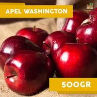 Jual Apel Washington Terdekat - Harga Murah & Grosir April 2024