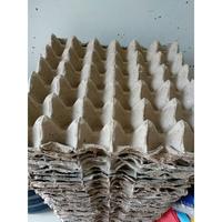 Jual Tray Telur Karton Murah & Terbaik - Harga Terbaru Mei 2024