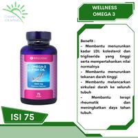 Jual Omega 3 Wellness Murah - Harga Terbaru April 2024