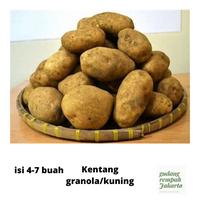 Jual Kentang Dieng 1 Kg Terdekat - Harga Murah & Grosir Mei 2025