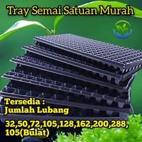 Jual Tray Semai Terbaik - Harga Murah Mei 2024 & Cicil 0%