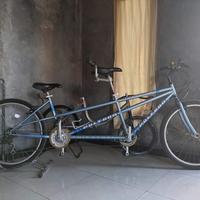 Jual Sepeda Tandem Polygon Terbaik - Harga Murah Juni 2024 & Cicil 0%