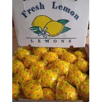 Jual Lemon 1 Kg Terdekat - Harga Murah & Grosir Januari 2025