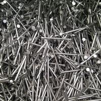 Paku Kayu Kokoh & Pilihan Ukuran Terlengkap Mei 2024