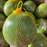 Jual Buah Jeruk Bali Terdekat - Harga Murah & Grosir April 2024