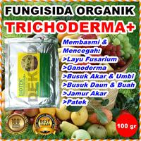 Jual Trichoderma Terbaik - Harga Murah Juni 2024 & Cicil 0%