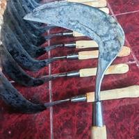 Jual Sabit Besar Terbaik - Harga Murah Maret 2025 & Cicil 0%