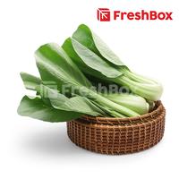 Pakcoy Harga Termurah & Grosir Januari 2025 - Tokopedia