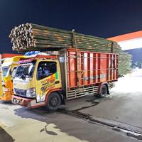 Jual Bambu Batangan Terbaik - Harga Murah Mei 2024 & Cicil 0%
