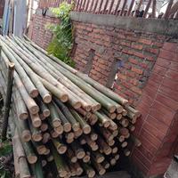 Jual Bambu Steger Terbaik - Harga Murah Juni 2025 & Cicil 0%
