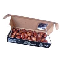 Kurma Palm Fruit dari Tunisia, Rasa Khas dengan Daging Kenyal