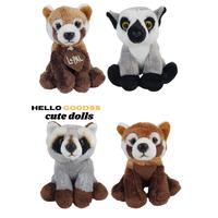 Jual Aneka Binatang Rakun Terlengkap - Harga Murah Maret 2024