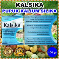 Jual Pupuk Silika Terbaik - Harga Murah Mei 2024 & Cicil 0%