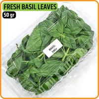 Jual Fresh Basil Terdekat - Harga Murah & Grosir April 2024