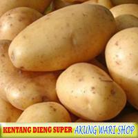 Jual Kentang Kg Terdekat - Harga Murah & Grosir November 2024